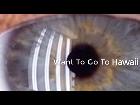 KTC Hawaiian - Kapo Trading Company