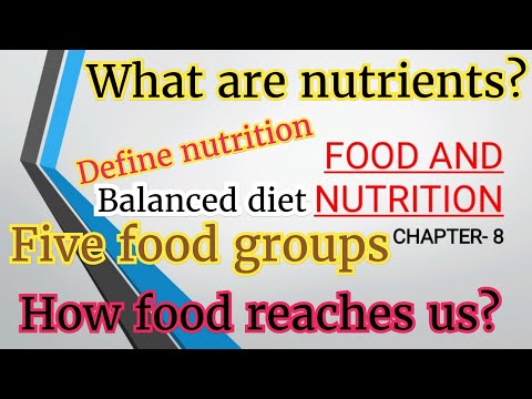 What is balanced diet? Define nutrition & nutrients| Five main food groups| How food reaches us?