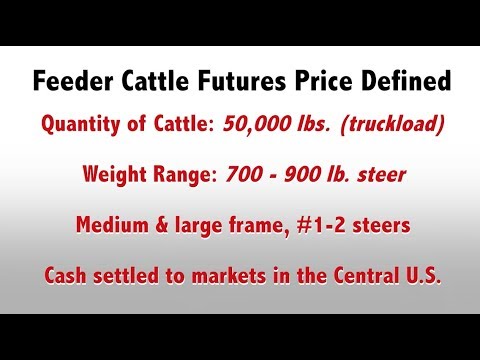 What are Feeder Cattle Futures Prices?