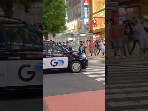 Japan Rental Taxi GO.