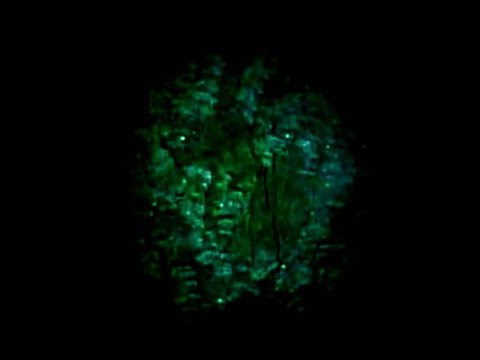 7 Sisters, First Contact Image... Great Parmid of Giza, Secreat Door, Queen's Chamber