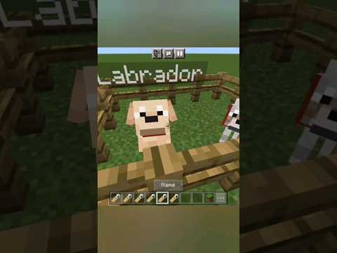 Minecraft secret Name tags 😮 #shorts #minecraft #gaming
