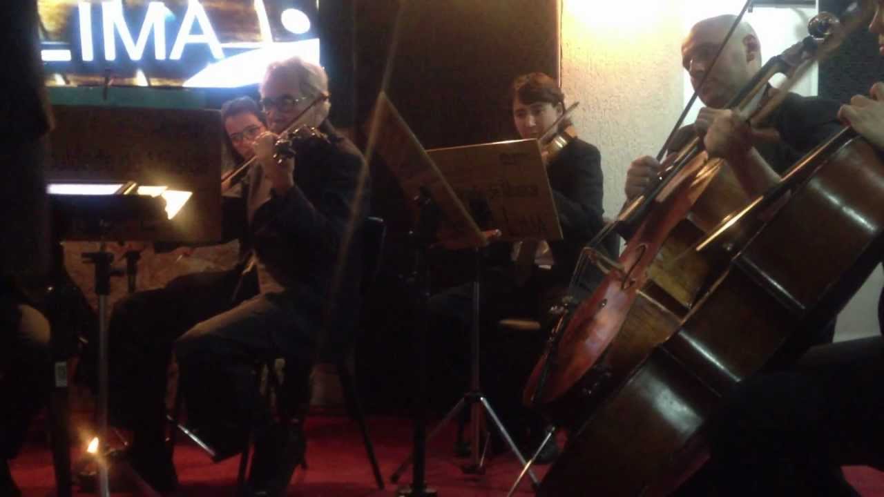 Presenting Strings camerata