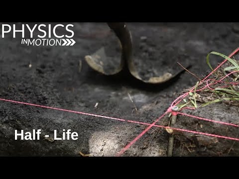 What Is a Half - Life? | Physics in Motion
