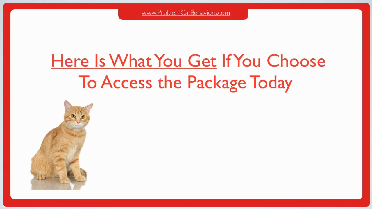 Solutions to Cat Behavior Problems