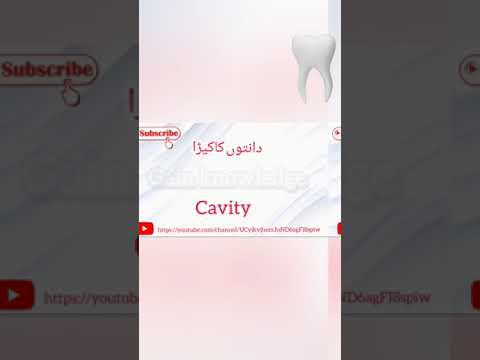English words about teeth.