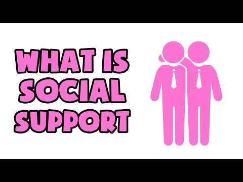 What is Social Support | Explained in 2 min