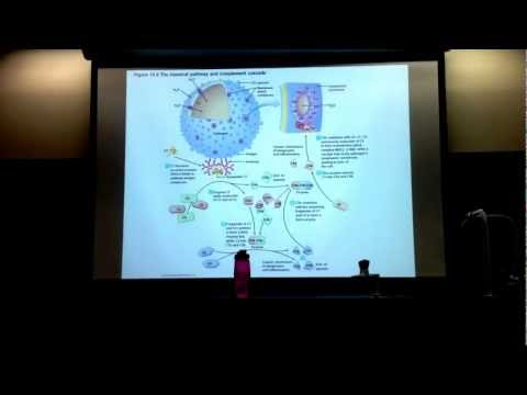 Dr. CY's Microbiology Chapter 15 Lecture Part 1-B