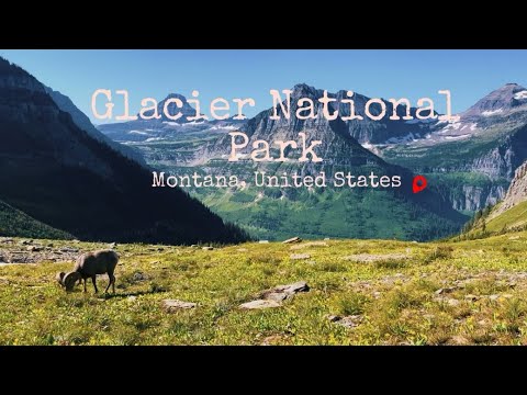 The Most Beautiful Hike In All Of Glacier? - My Journey In The Mountains