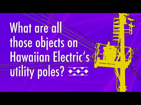 What's on a Utility Pole?