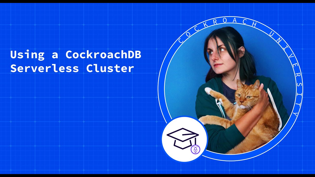 Using a CockroachDB Serverless Cluster