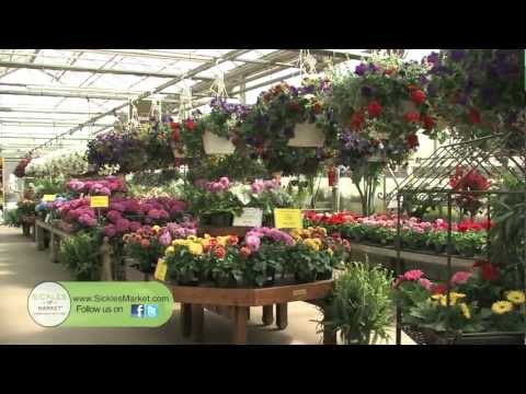 Sickles Spring Garden Center - NJ Discover