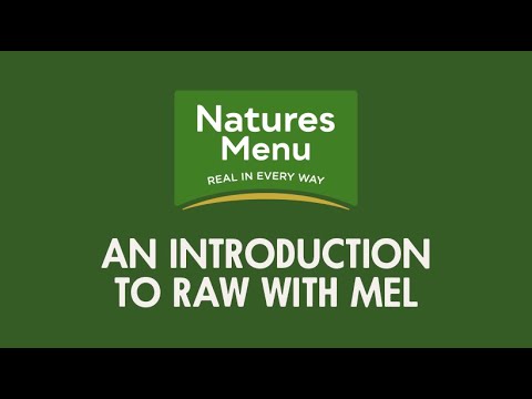 An Introduction to Raw Dog Food for Beginners
