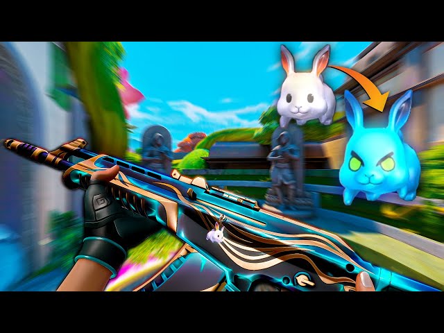 How to get Luna gunbuddy in Valorant