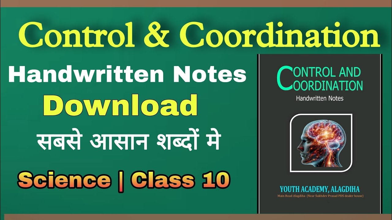 Control and Coordination | Handwritten Notes Pdf Download | Class 10 | 2024 - 25