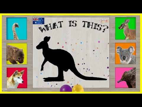 WHAT ANIMAL DO YOU SEE? ❤️ AUSTRALIAN 🇦🇺 ANIMALS, KANGAROO, WOMBAT, EMU ❤️ KiDS LEARN ANIMAL NAMES