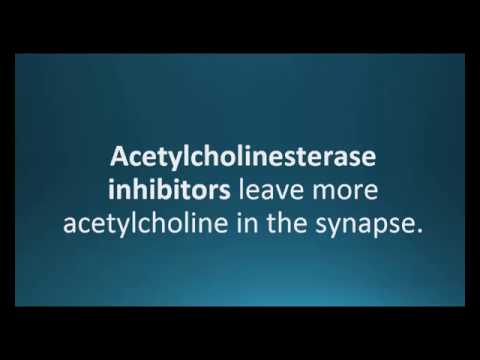 Acetylcholinesterase Inhibitors (Pharmcabulary for Memorizing Pharmacology Chapter 5 Neuro Flashcar