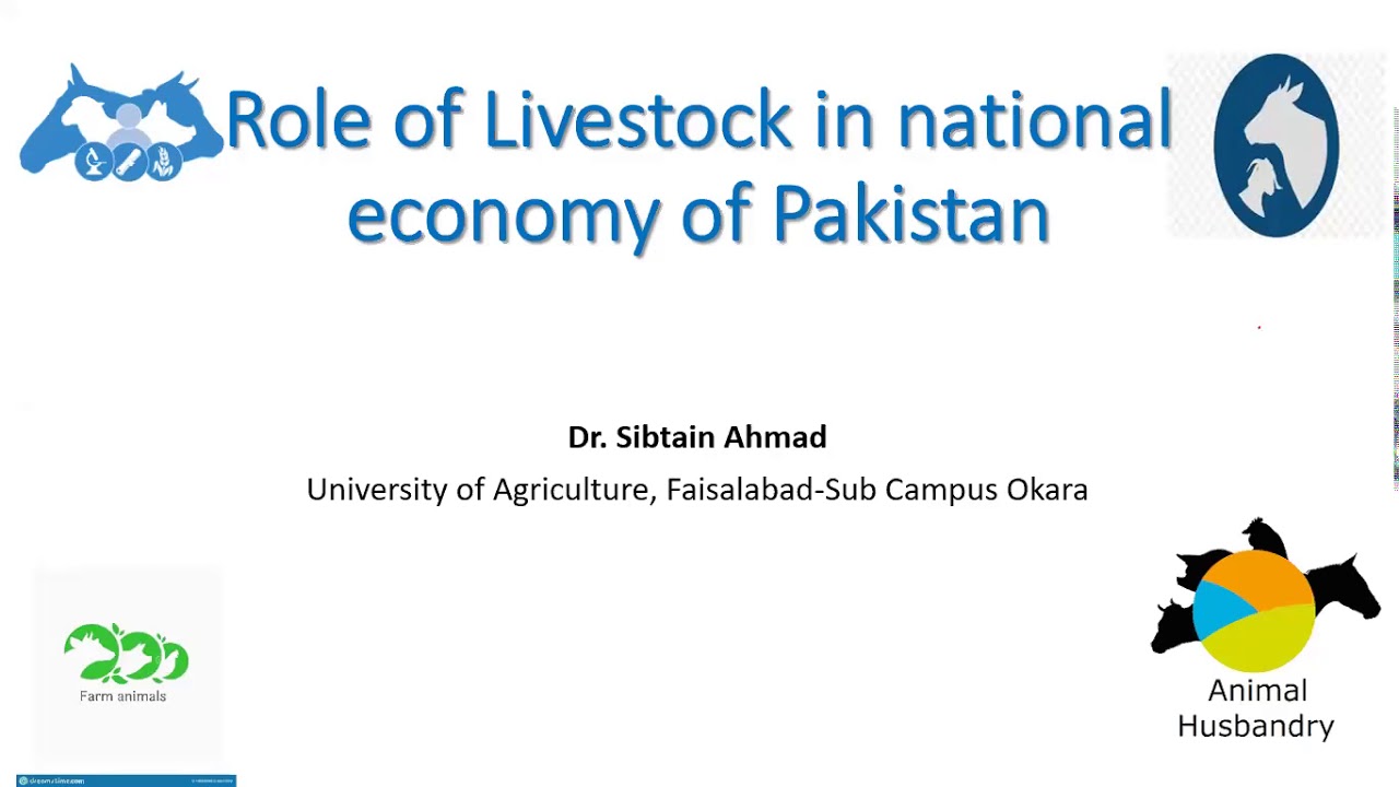 Role of Livestock in national economy of Pakistan