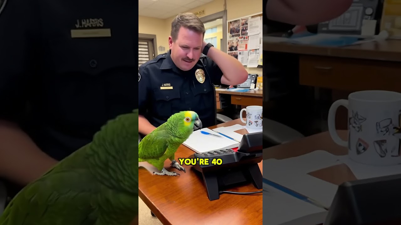 PARROT Roasts 40-Year-Old Cop for Getting 