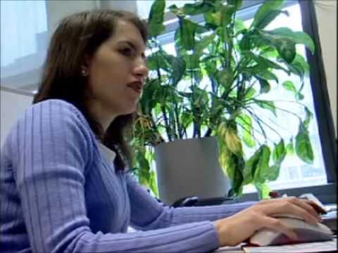 What Does An Auditor Do?