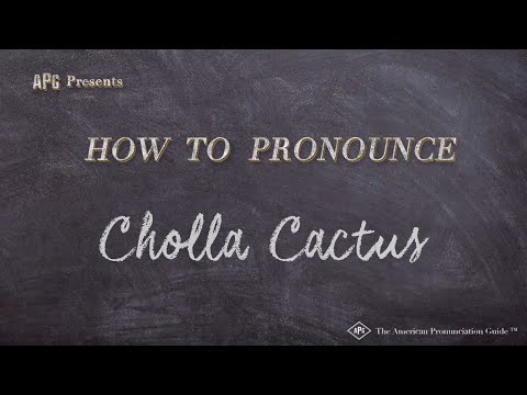 How to Pronounce Cholla Cactus (Real Life Examples!)