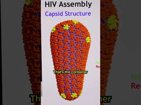 This Breakthrough HIV Drug Changes Everything #medicine #information #health #uofuhealth