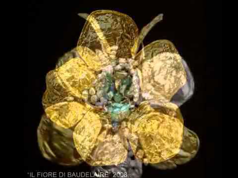 lisa sotilis exclusive jewelry