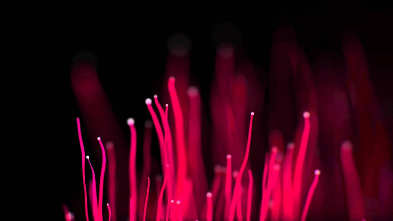 Trapcode Particular Test 002