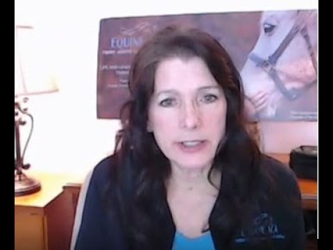 The Horses Began to Claim Me | Podcast Part 1
