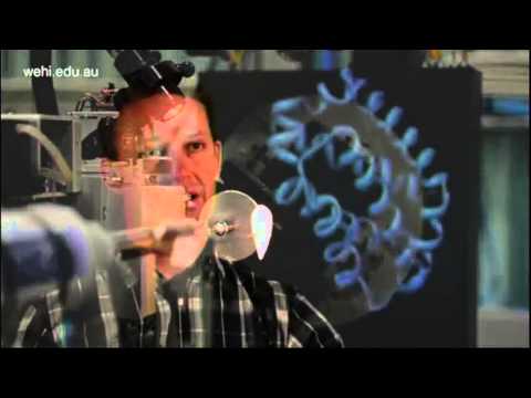 Programmed Cell Death