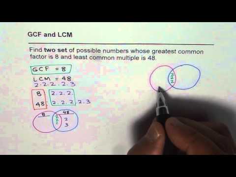 GCF of 8 and LCM 48 Find Numbers