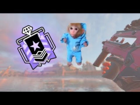 Steam Community :: Video :: Funnee Monkkee Gif R6 Montage