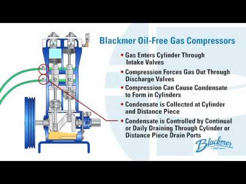 Blackmer® Oil-Free Gas Compressors