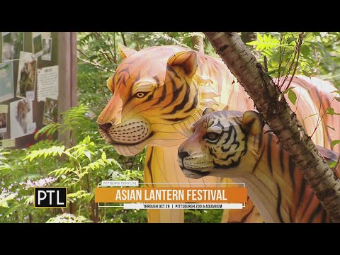 Pittsburgh Zoo & Aquarium's Asian Lantern Festival