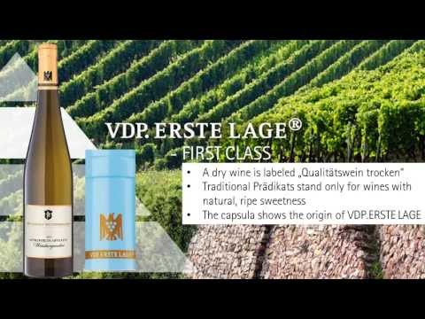 The VDP Classification – the_corkreporter