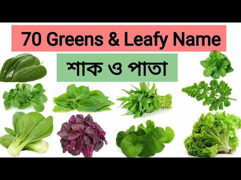70 Green leafy & Vegetables Name English to Bengali | শাক ও পাতার নাম বাংলায়