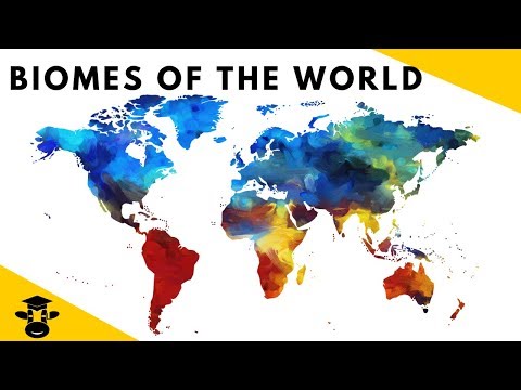 7 Biomes of the World Facts