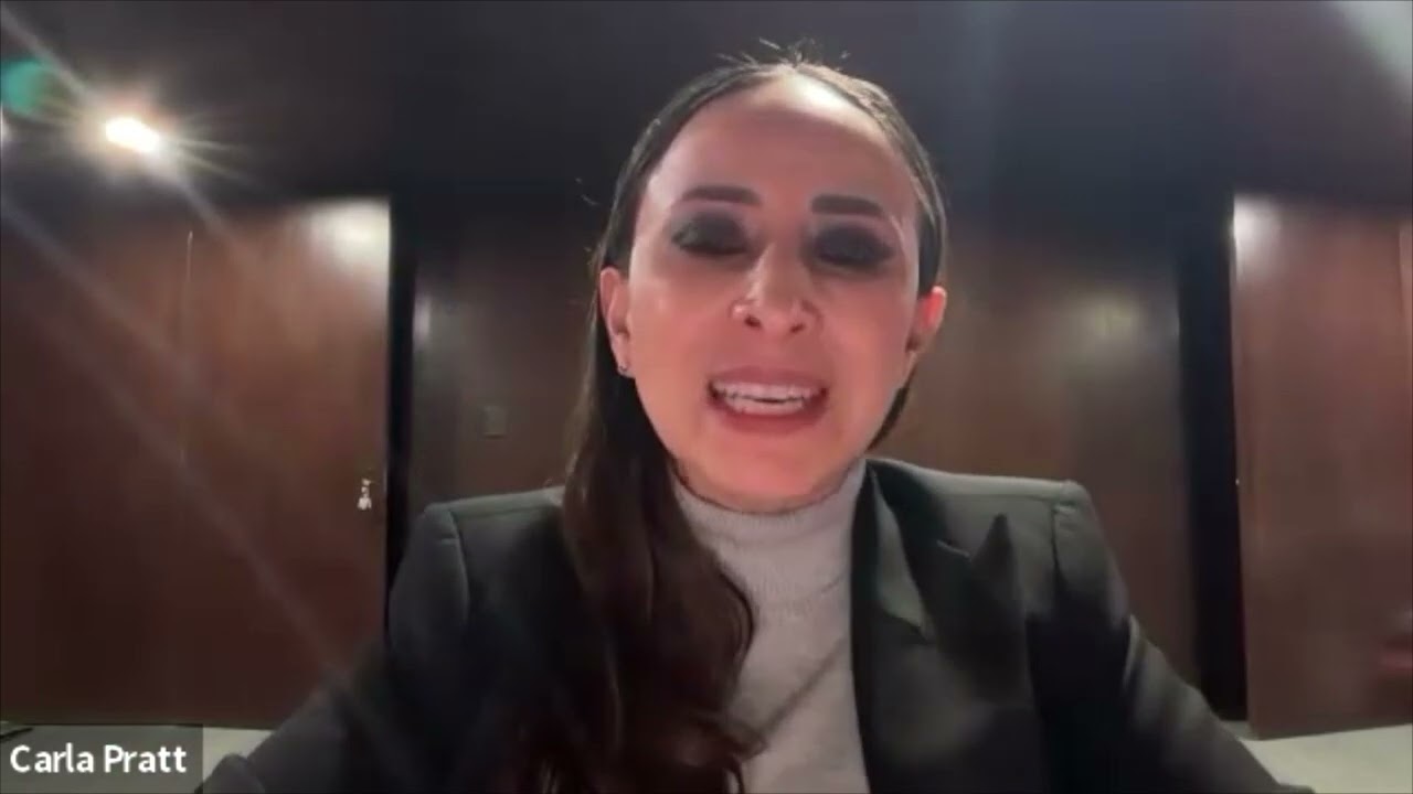 The legal profession must better argue to eradicate pretrial detention