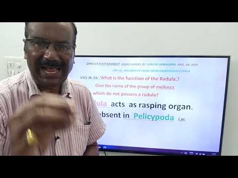 203:RADULA Function:
