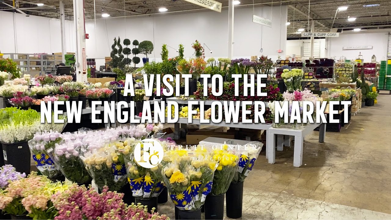 A Visit To The New England Flower Market