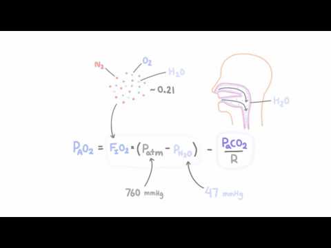Alveolar gas equation