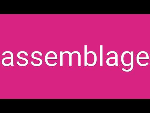 Assemblage Definition & Meaning