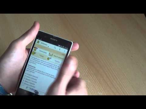 App Spotlight: LEO Dictionary running on Android
