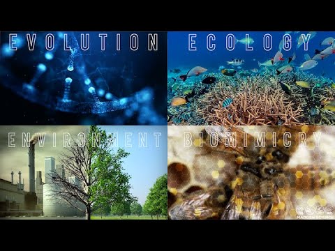 NATURE: Course Trailer: Evolution, Ecology, Environment, & Biomimicry