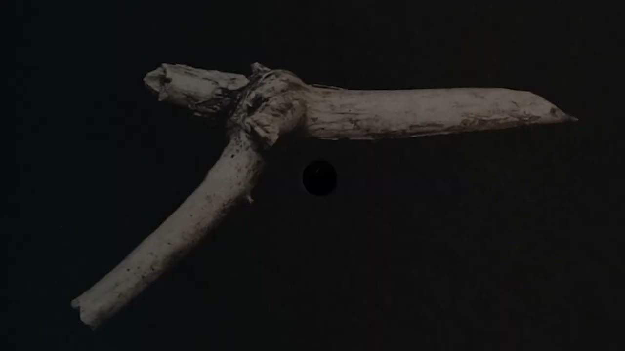 ONCE A YEAR THE STICK SHOOTS by Natalia Wiernik & Nastasiia Leliuk