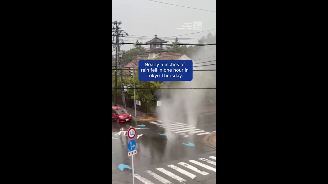 Deluge Of Rain Floods Tokyo Streets, Stops Planes And Trains