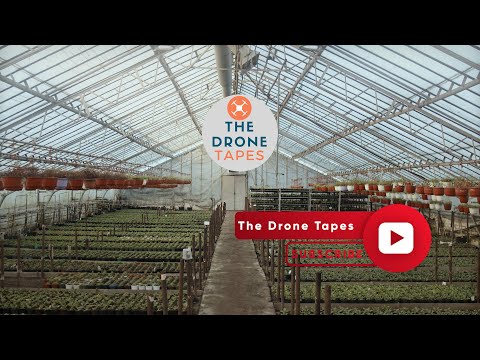 Inside the Green house | No copyright and royalty-free drone nature shots