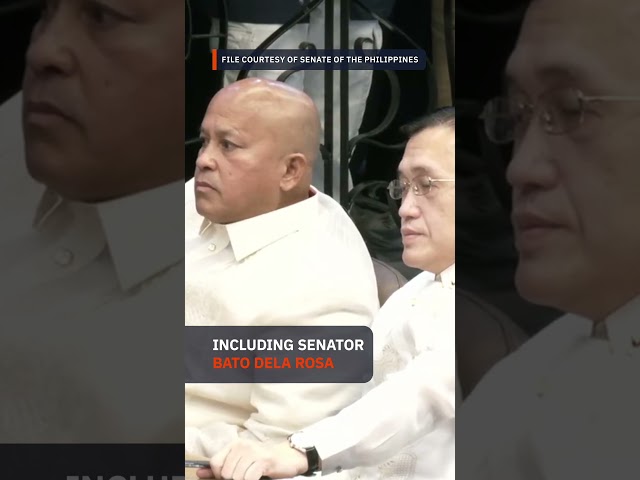 No ICC warrant yet vs Bong Go, says DOJ