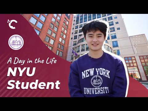 Why is NYU the Perfect University for International Students?