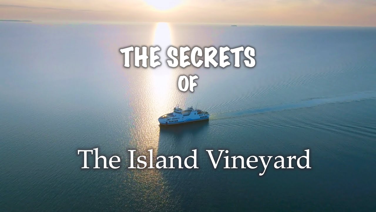 THE ISLAND VINEYARD